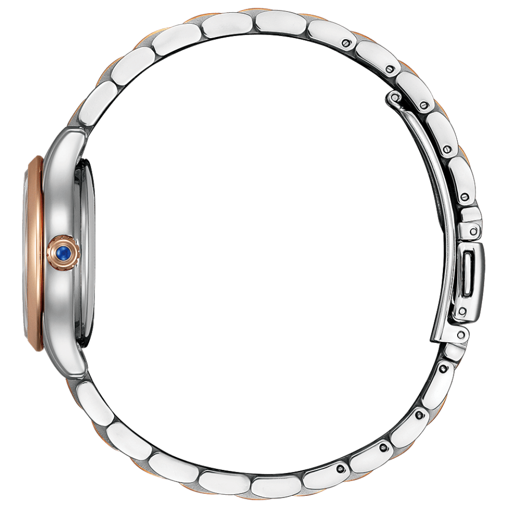 Citizen Collection Limited Edition PR1044-87Y | Sakurawatches.com