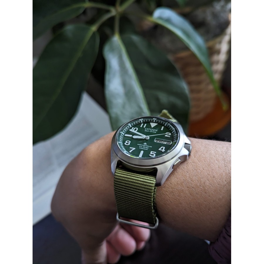 Sakura Watches Reviews