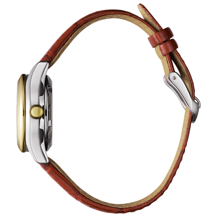 Citizen Collection PD7166-03A | Sakurawatches.com